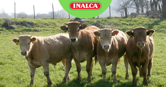Inalca, patto con gli allevatori per il benessere animale e la ...